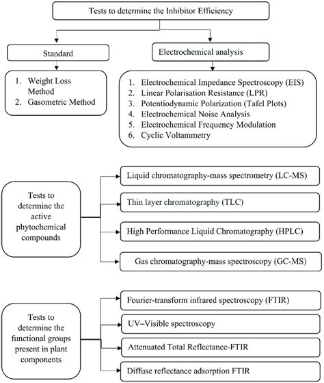 Tests To Conduct To Determine The Active Phytochemical Compounds Download Scientific Diagram
