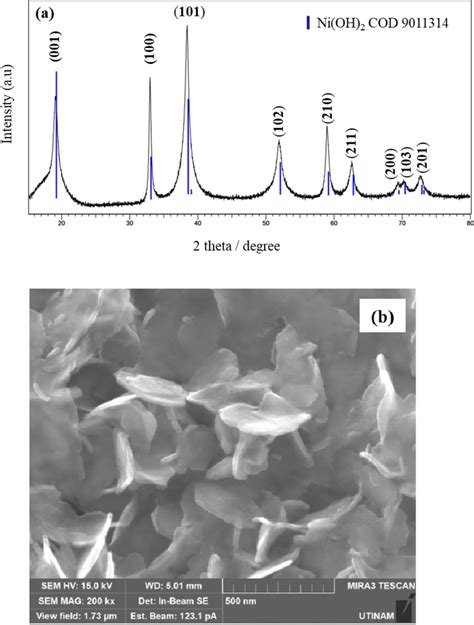 A Xrd Pattern And B Sem Image Of Synthetized β Ni Oh 2 Powder Download Scientific Diagram