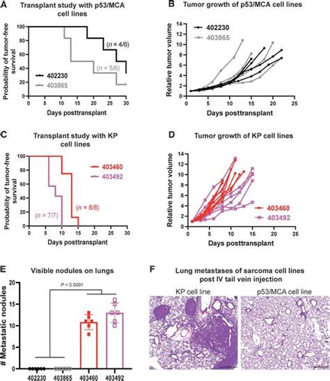 Neoadjuvant Radiation Therapy And Surgery Improves Metastasis Free