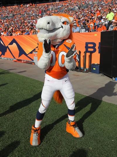 Miles Denver Broncos Sportsmascots Wikia Fandom