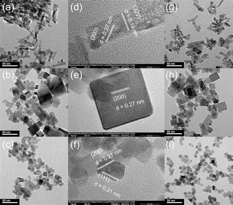 Figure 1 From Morphology Dependent Catalytic Activity Of Ru Ceo2 In Dry Reforming Of Methane