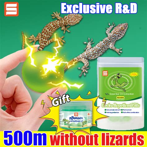 Buy Ridsect Lizard Repellent Online My