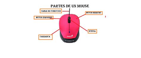 IntroducciÓn A La Informatica Taller 5 Partes Del Mause