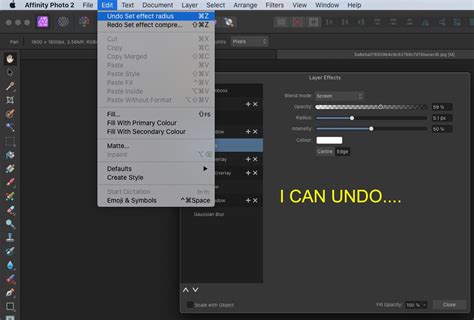 Undo Redo Issues With Adjustment Filters V Bugs Found On MacOS Affinity Forum