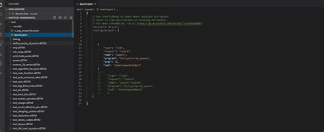 Vscode Can Not Find Lldb Debug Environment When Restart You Should Reload The Whole