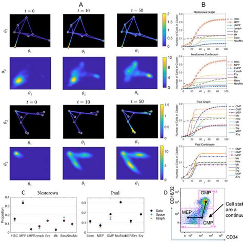 figure a2 pseudotime dynamics the homeostasis cell differentiation