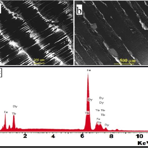 A Sem Of The Tfd Integrated Into The Cfrp Sample Top View B Sem Of Download Scientific
