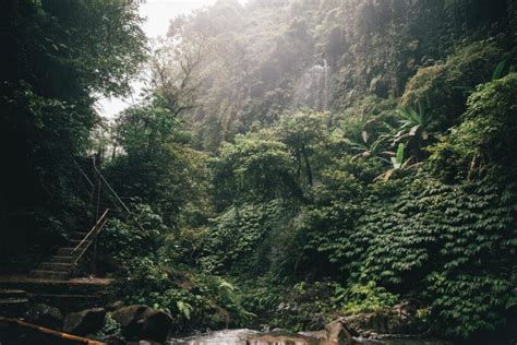Icvcm Announces First High Integrity Ccp Labelled Carbon Credits