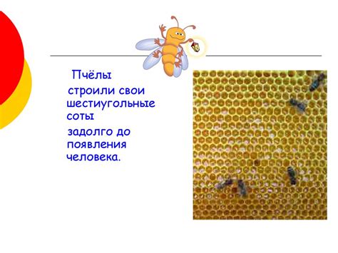 Многогранники - презентация онлайн