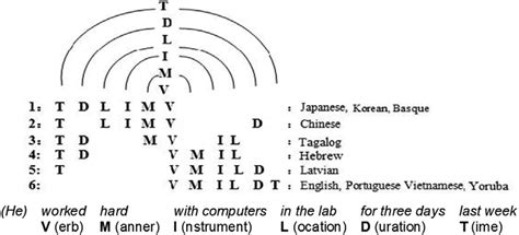 4 The Orbit Layering Diagram Download Scientific Diagram