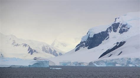 The Pros And Cons Of Travelling To Antarctica She Defined