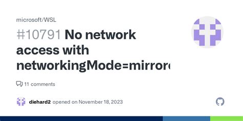 No Network Access With Networkingmodemirrored · Issue 10791