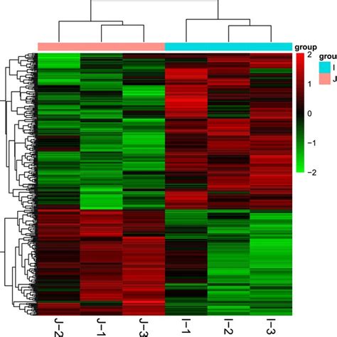 Heatmap Clustering Of Differentially Expressed Genes Degs From The Download Scientific