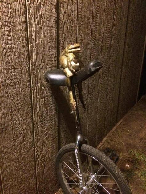 Irl Dat Boi Know Your Meme Irl Dat Boi Know Your Meme