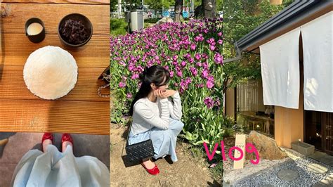 Vlog 직장인 브이로그 봄맞이 쇼핑🛒🧢신상 다이슨헬로선라이즈 출근룩 고삐풀린 먹방 아빠 생신파티 어나더스킨