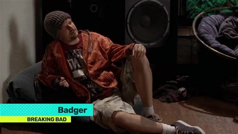 Breaking Bad Profile Badger Fandom