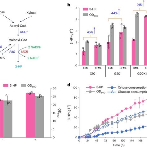 Metabolic Transforming Of An Ffa Cell Factory For 3 Hp Download