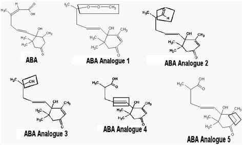 Structure Of Aba And Its Analogues Download Scientific Diagram