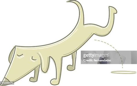 Pee Cartoon Photos And Premium High Res Pictures Getty Images