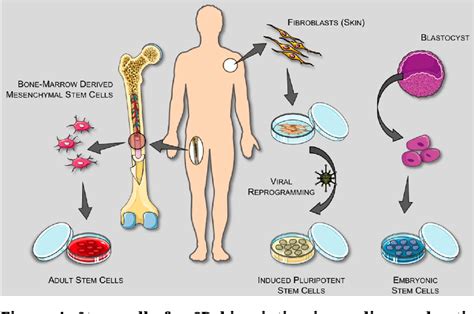 figure 4 from clinical perspectives on 3d bioprinting paradigms for