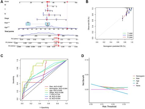A Signature Constructed With Mitophagy Related Genes To Predict The Prognosis And Therapy