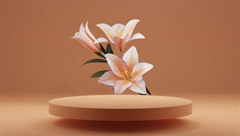 기하학적 형태의 추상적 최소 장면입니다 꽃과 색상 배경에 연단 제품 프리젠 테이션 모형 화장품 디스플레이 연단 무대 주각 또는 플랫폼 3d 렌더링 강단에 대한 스톡 사진 및