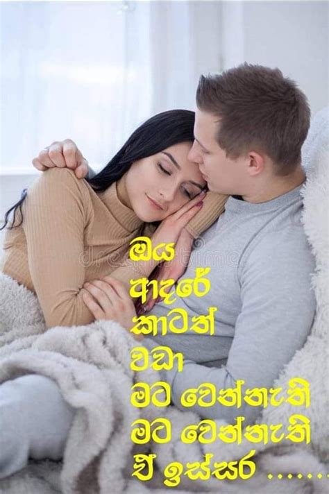 නිසදැස් පිටුව Home