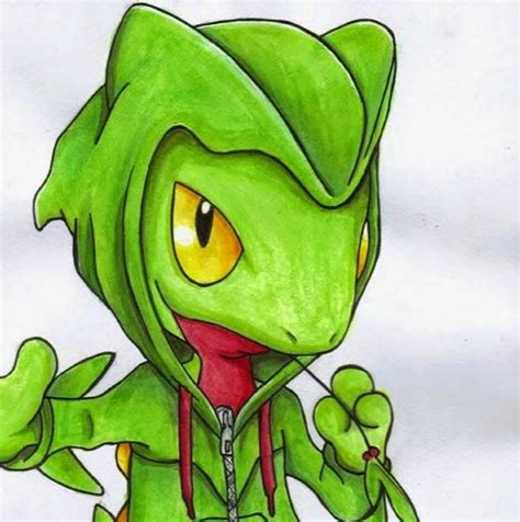 Treeko Wiki Pokémon Amino