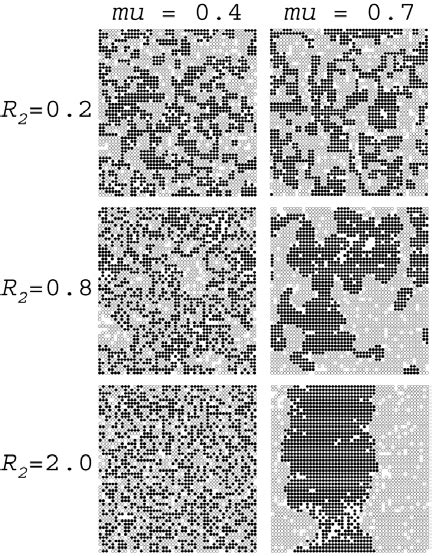 Equilibrium Societies For Different Values Of R 2 And µ Download
