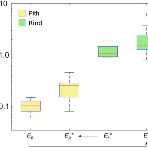 Modulus Of Elasticity Values For Fully Turgid Rind And Pith Tissues