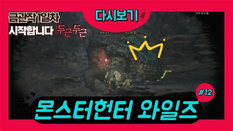 몬스터헌터 와일즈 금관작 1일차 한번 해볼까 Youtube