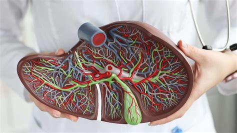 Effective Liver Abscess Treatment Exploring Medical And Surgical Options