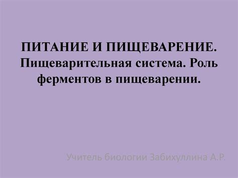 Питание и пищеварение Пищеварительная система Роль ферментов в