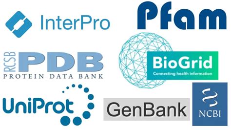 Protein Databases Definition Types Examples Applications Biology