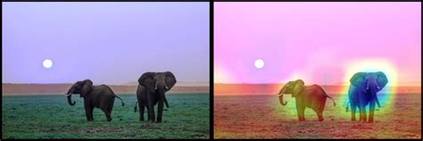 Explainableai Ai Deeplearning Datascience Computervision Arun Sivakumar