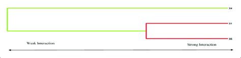 The Multifactor Dimensionality Reduction Mdr Interaction Dendrogram