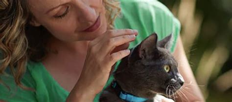 How To Help Remove Fleas On Your Cat NZ