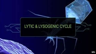 Lytic Lysogenic Cycle PPTX