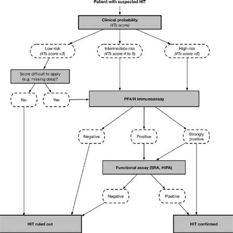 Proposed Algorithm For Diagnosis Of Heparin Induced Thrombocytopenia A Download Scientific