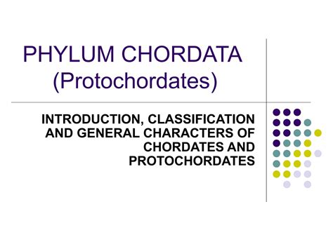 Phylum Chordata And Protochordates In Diversity Of Chordates Ppt