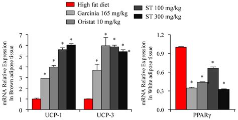 Effects Of Sargassum Thunbergii On The Expression Of Adipogenesis
