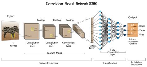 demystifying convolutional neural networks a beginner s introduction