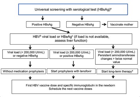 Algorithm Of Preventive Interventions For Hepatitis B Virus Vertical Download Scientific
