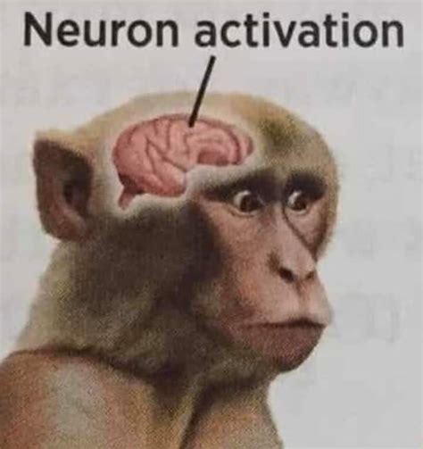 Monkey Sees Action Neuron Activation Minecraft Skin