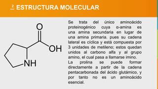 La Prolina Pptx