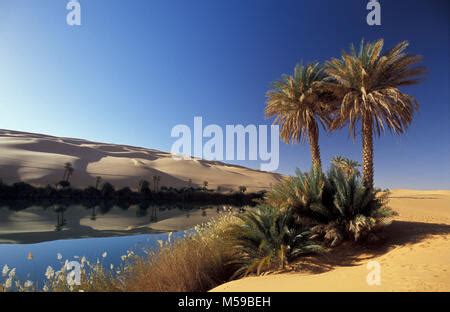Libya Ubari Sahara Desert Oasis With Palm Trees And Lake Um El Ma