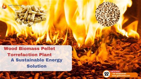 Wood Biomass Pellet Torrefaction Plant India Gattuwala
