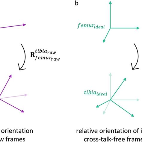 Schematic Of Local Segment Frames Relative To One Another A Measured