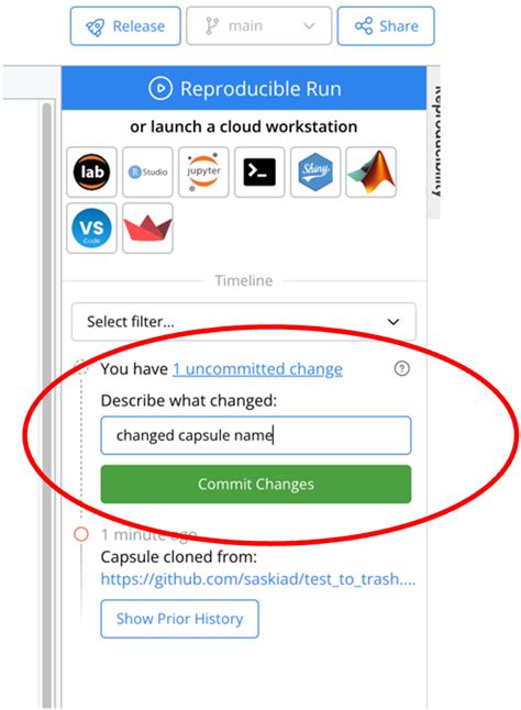 Creating A Code Ocean Capsule Synced To Github Repo — Swdb 2024 Data Book