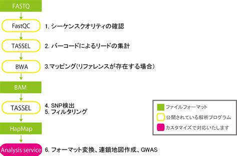 Gbs（genotyping By Sequencing）解析 Amelieff